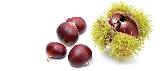 La châtaigne - La Vie Claire