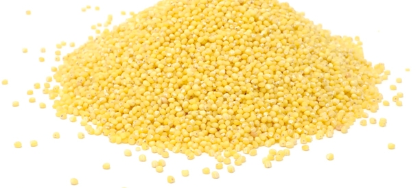 Le millet - La Vie Claire