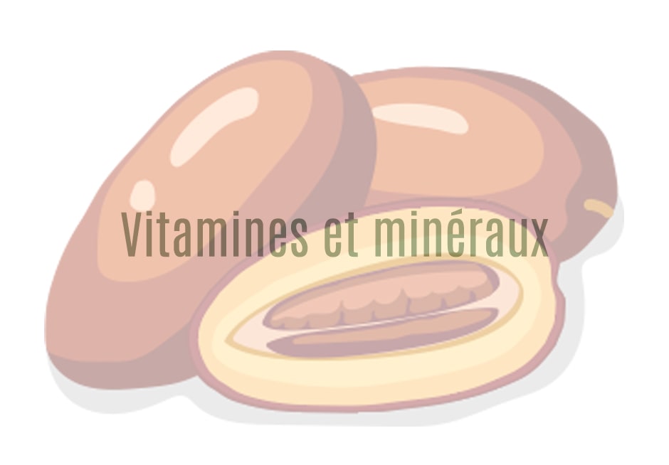 Quelles sont les vertus des dattes ? - La Vie Claire