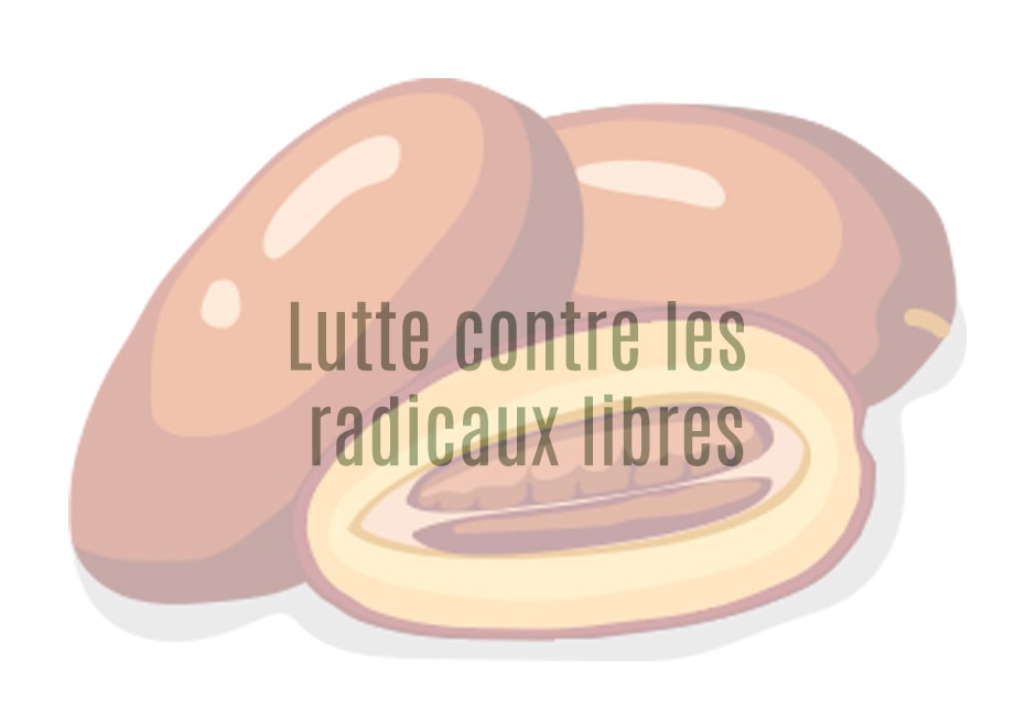 Quelles sont les vertus des dattes ? - La Vie Claire