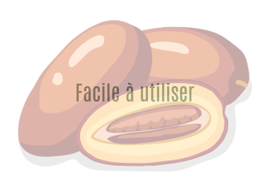 Quelles sont les vertus des dattes ? - La Vie Claire